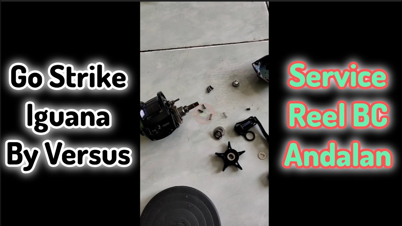 Service Reel BC Go Strike Iguana By Versus - YouTube