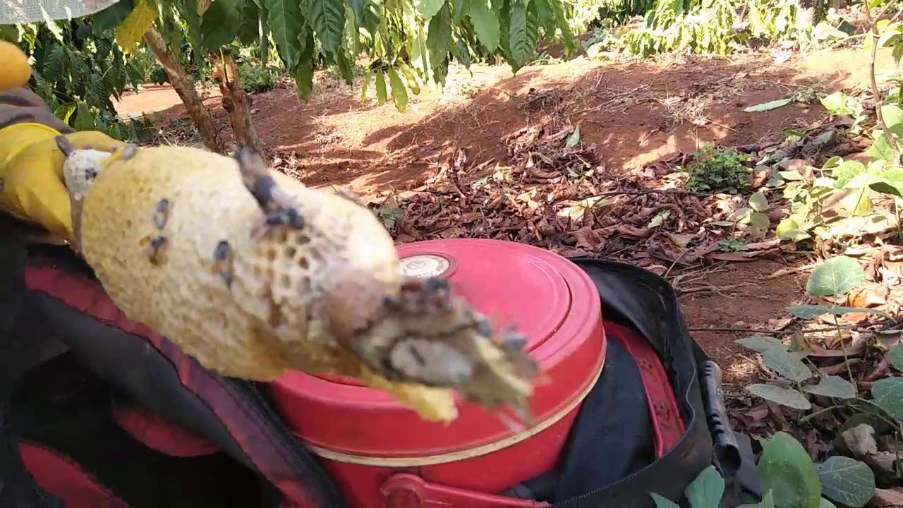 Ngay. Ngay sing qua ngay ma chang lm gi ca - YouTube