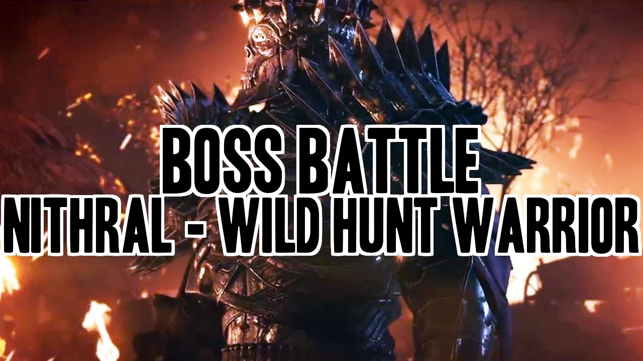 The Witcher 3 - Nithral Boss Tips and Tricks - YouTube