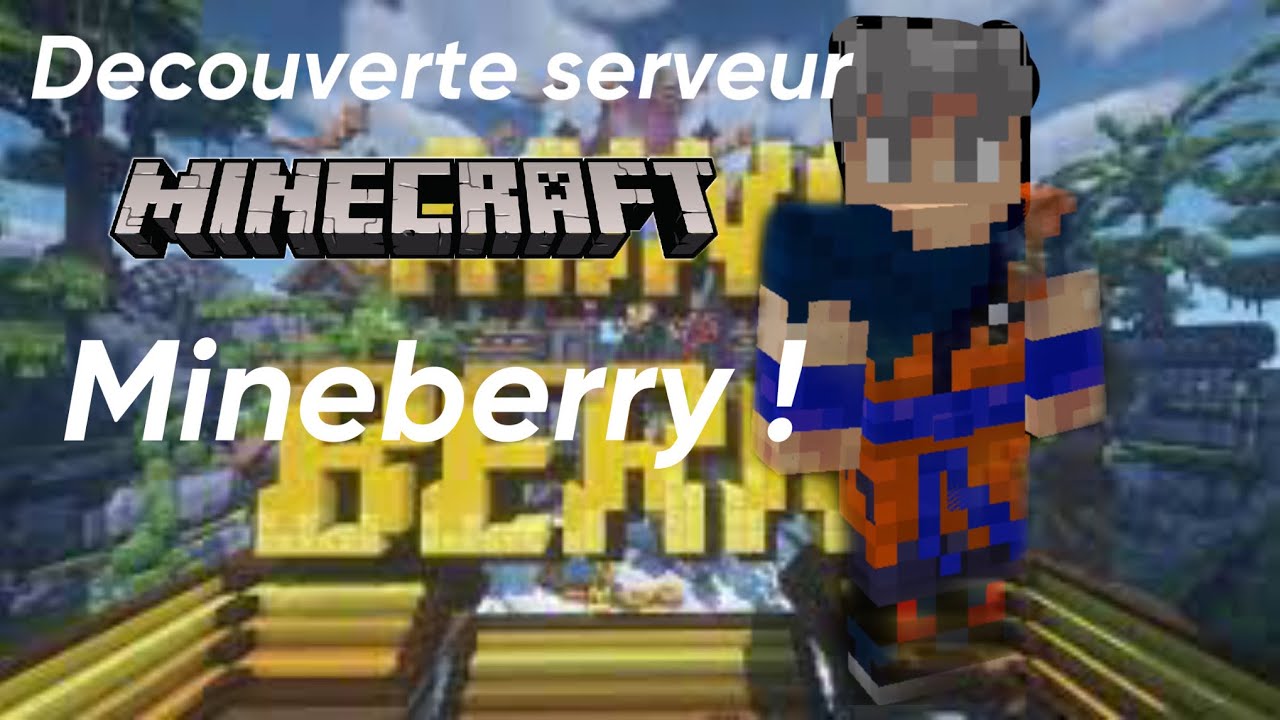 Présentation serveur minecraft Mineberry - Revilo Alex - YouTube