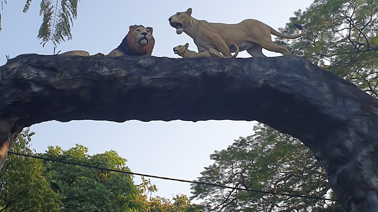 Gir National Park and Wildlife #near Talala Gir in Gujarat # ...