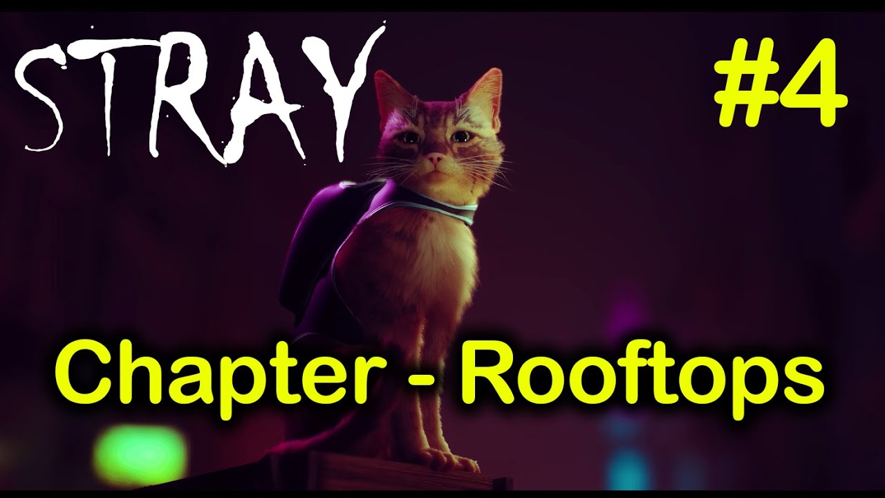 STRAY | Chapter 5 | Rooftops | GTX 1060 | AMD Ryzen 5 2600 - YouTube
