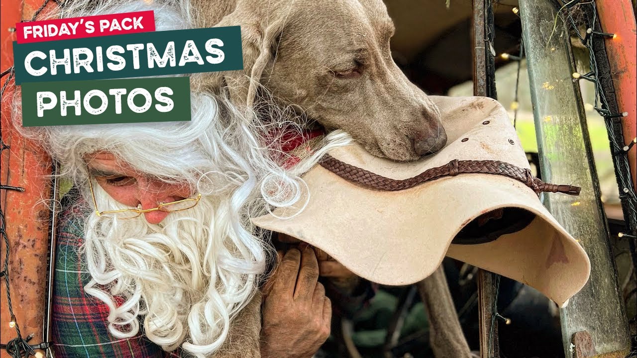 Friday pack’s Christmas Santa shoot - YouTube
