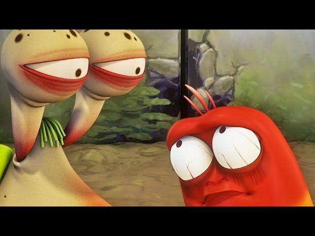 LARVA - STARING CONTEST | Cartoons For Children | LARVA Full Episodes ...