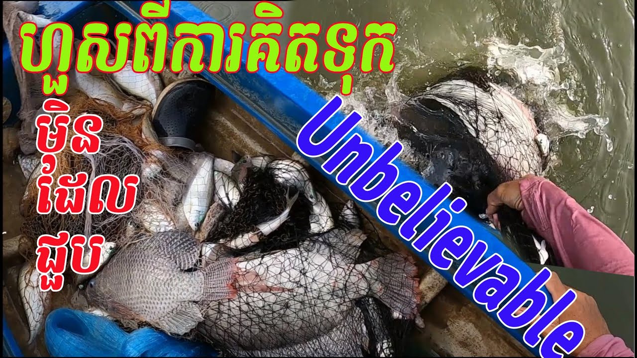 ម្នាយហើយ ហួសពីការគិត 3សំណាស់ជាង10គីឡូ កប់ណាស់បាទ / Amazing Traditional ...