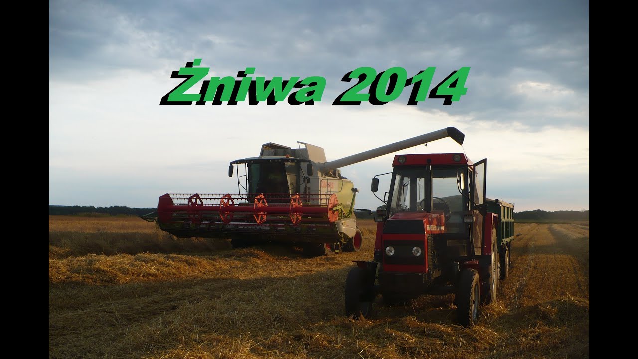 Żniwa 2014 - Jęczmień ozimy||Claas Lexion 650&Zetor 8111&Ursus C-4011 ...