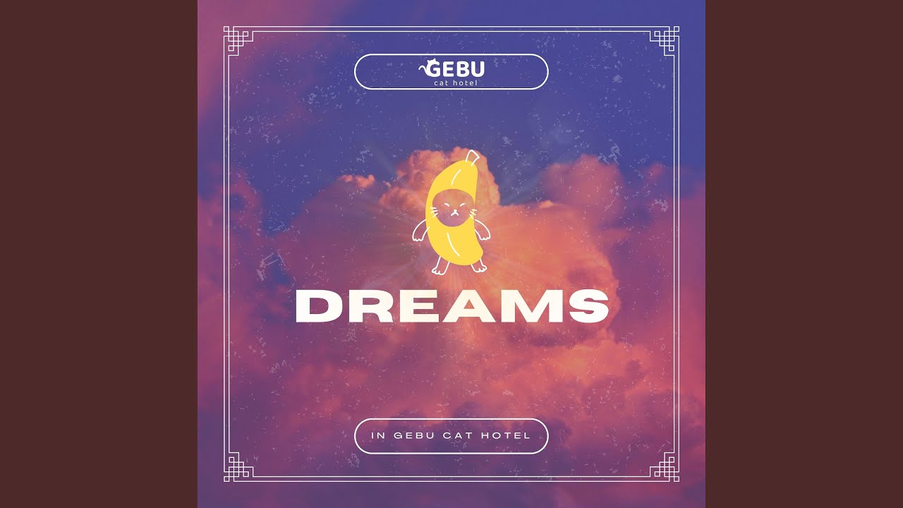 Dreams in Gebu Cat Hotel - YouTube
