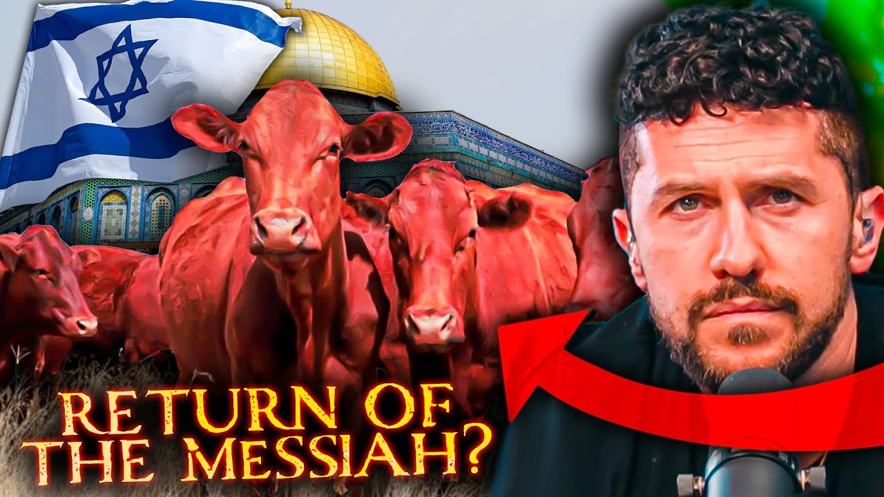 Jews Are Practicing The RED HEIFER RITUAL In Israel? - YouTube