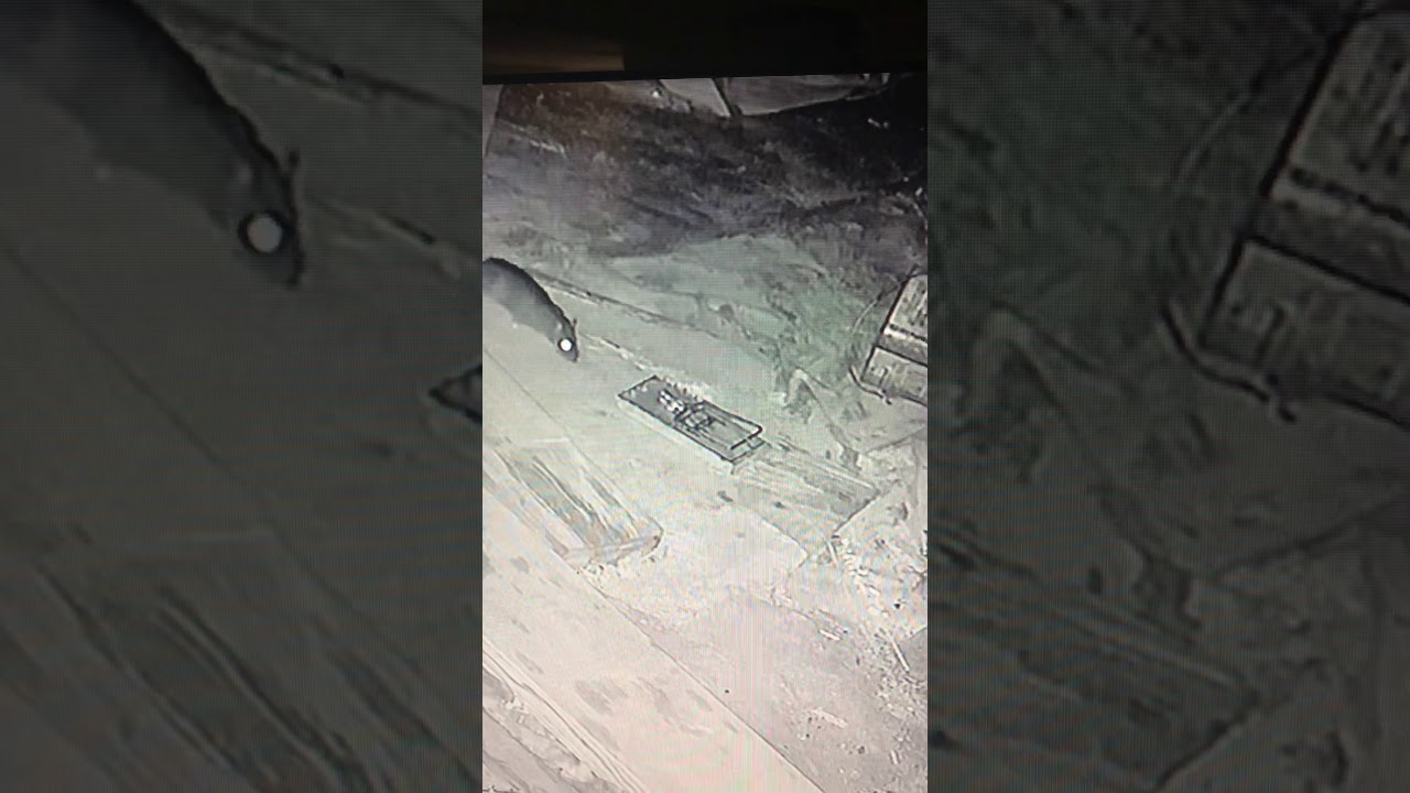 Rat trap modified - YouTube