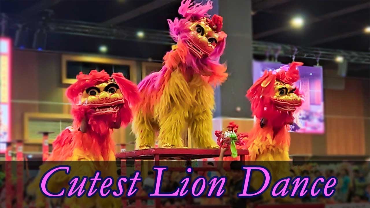 The Cutest (and the Oldest) Lion Dance! - YouTube