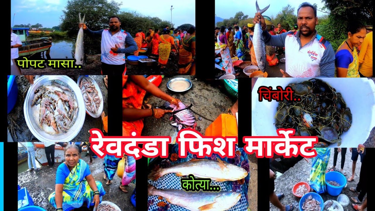 रेवदंडयाचा सकाळचा फिश मार्केट l revdanda fishmarket# fishing - YouTube