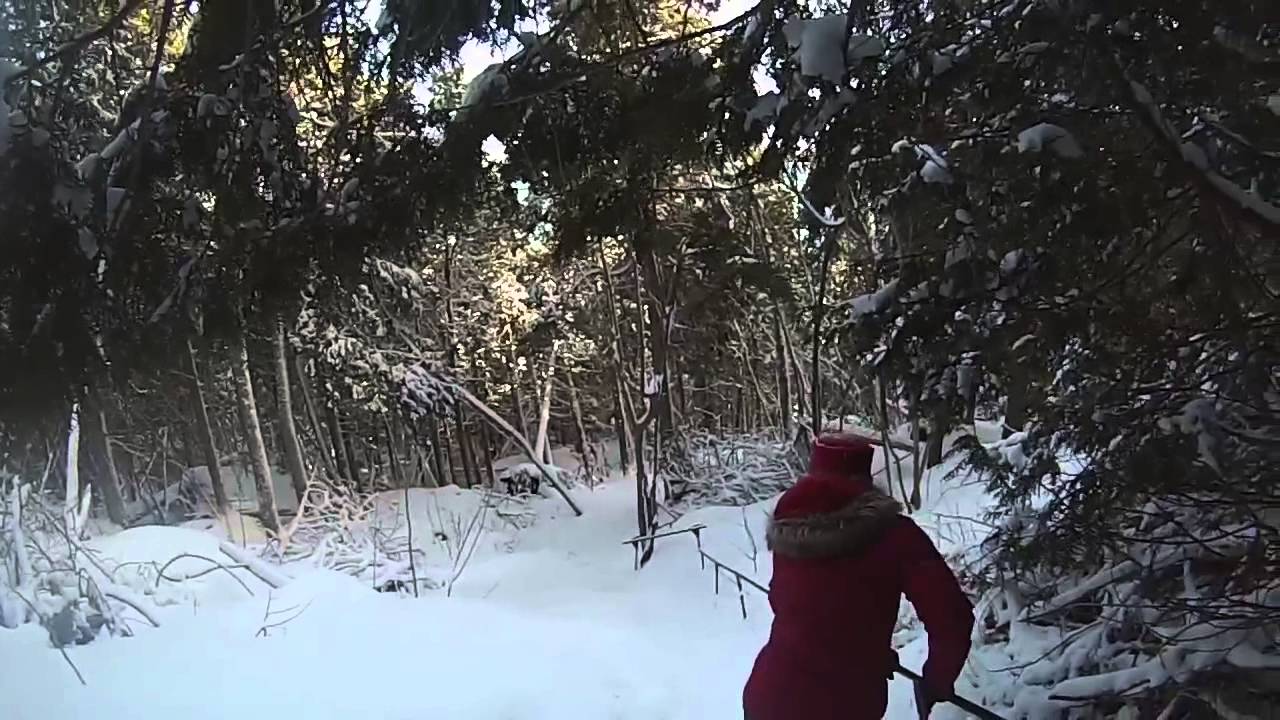 Owen Sound Snowshoeing - YouTube