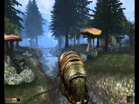 Silt Striders - YouTube