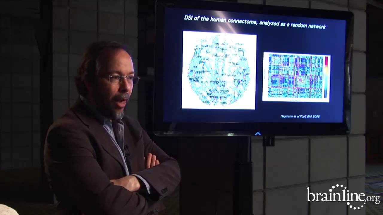 What Brain Research Is Revealing Through Neuroimaging - YouTube