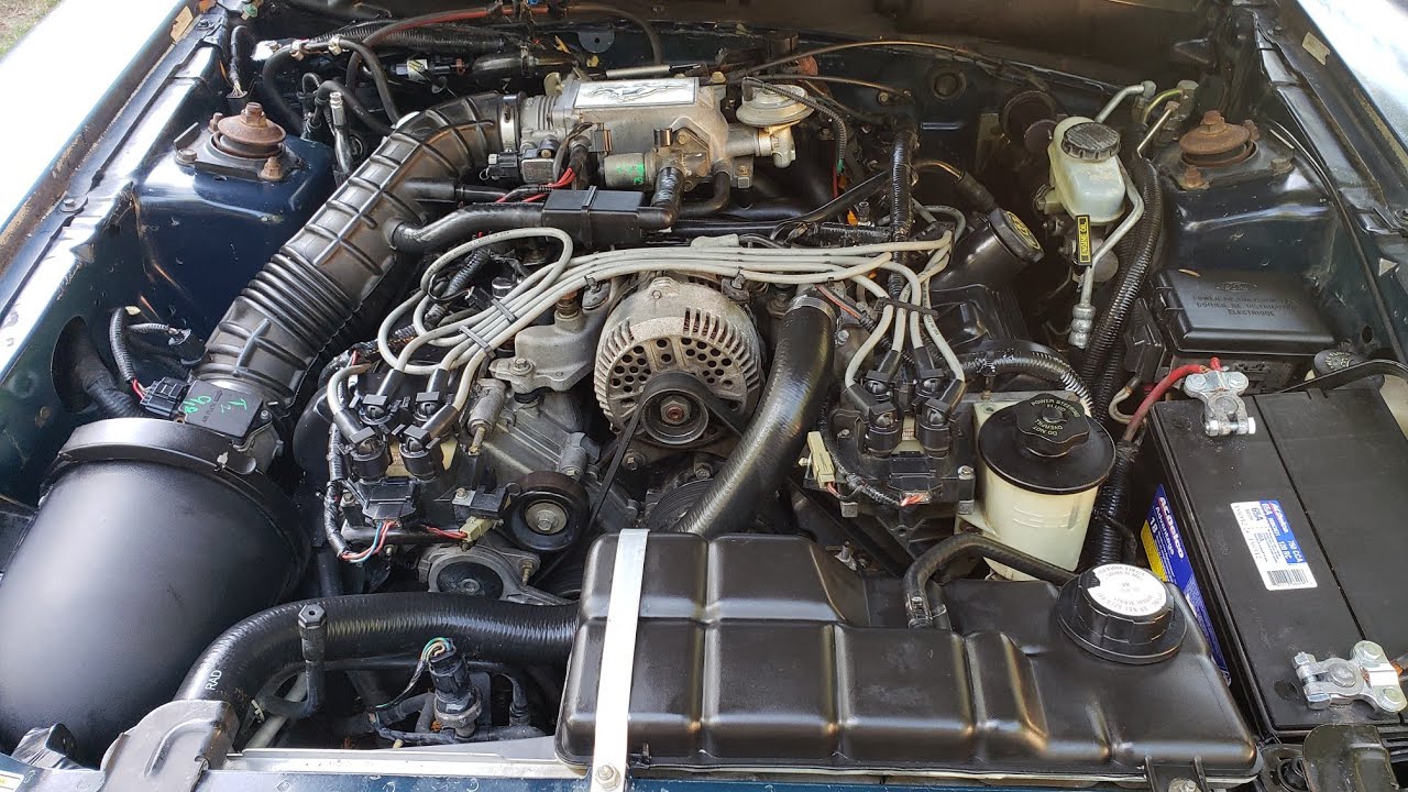 Cleaning the engine in my SN95 Mustang GT project car - YouTube