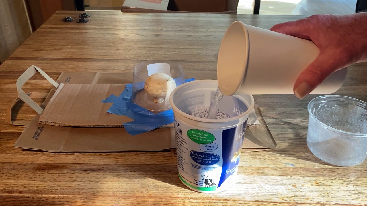 Easy Alginate Mold - Part 1 - YouTube