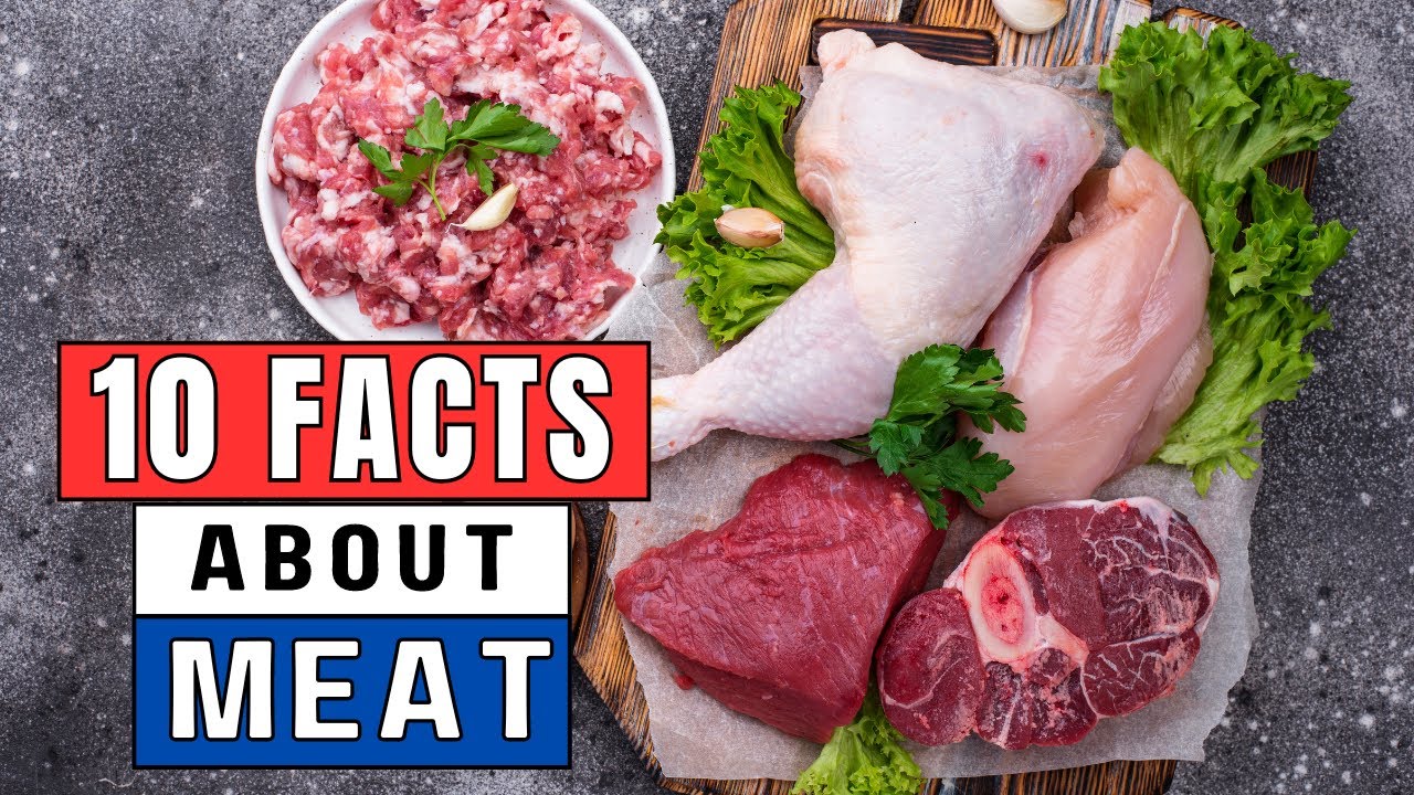 10 Interesting Facts About Meat - YouTube