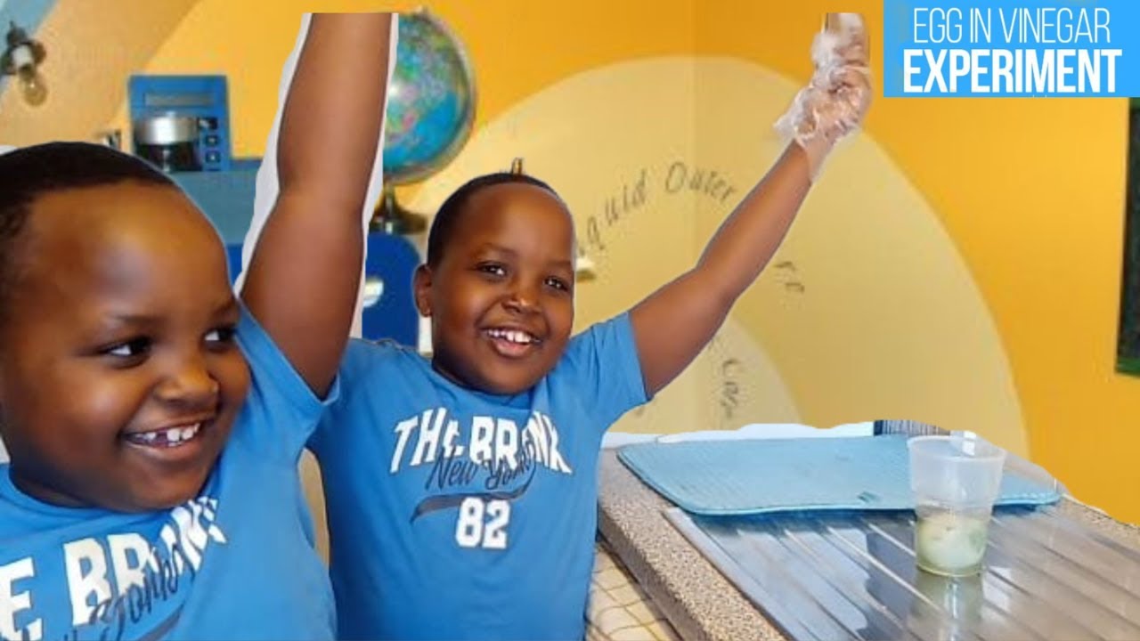 Science of Tooth Decay with the Egg in Vinegar Experiment | Amazing ...