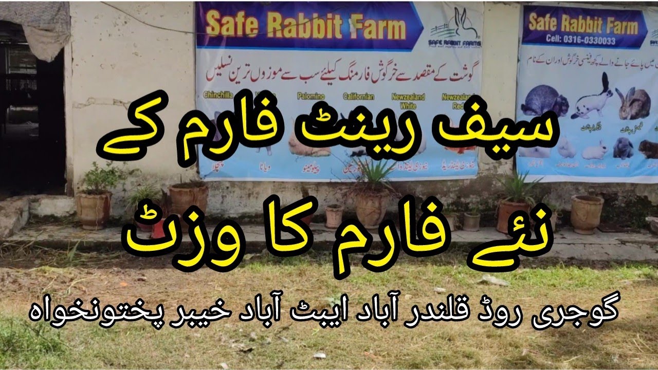 SAFE Rabbit Farms New Farm setup - YouTube