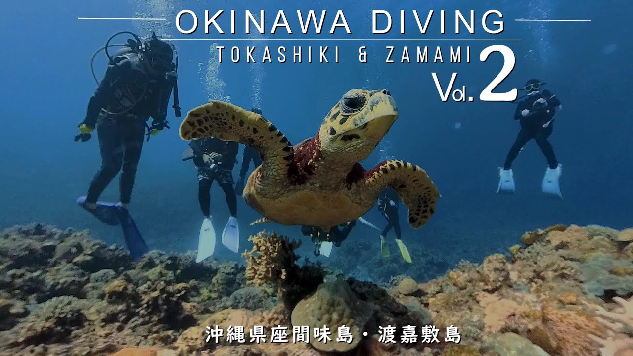 Okinawa Vol 2 Scuba Diving at ZAMAMI & Tokashiki 沖縄ダイビング②座間味島 渡嘉敷島 ...
