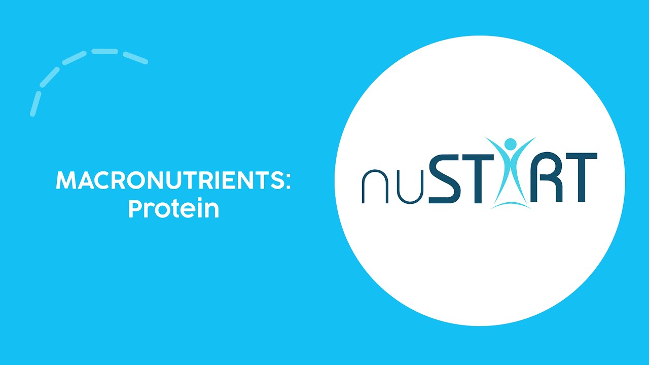 NuStart - Macronutrients Series: Protein - YouTube
