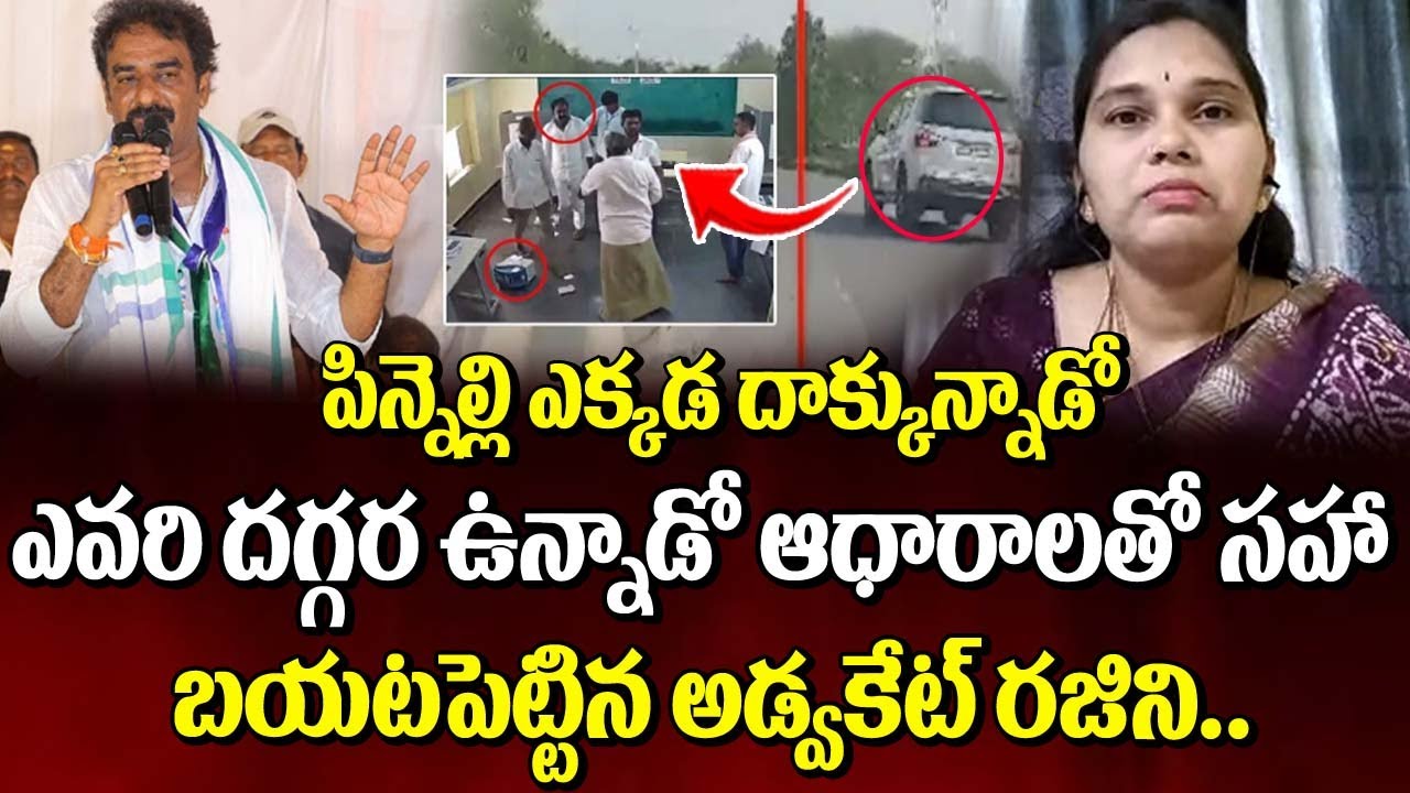 పిన్నెల్లి ఎక్కడ దాక్కున్నాడో ఎవరు దాచిపెట్టారో | Advocate Rajini About ...