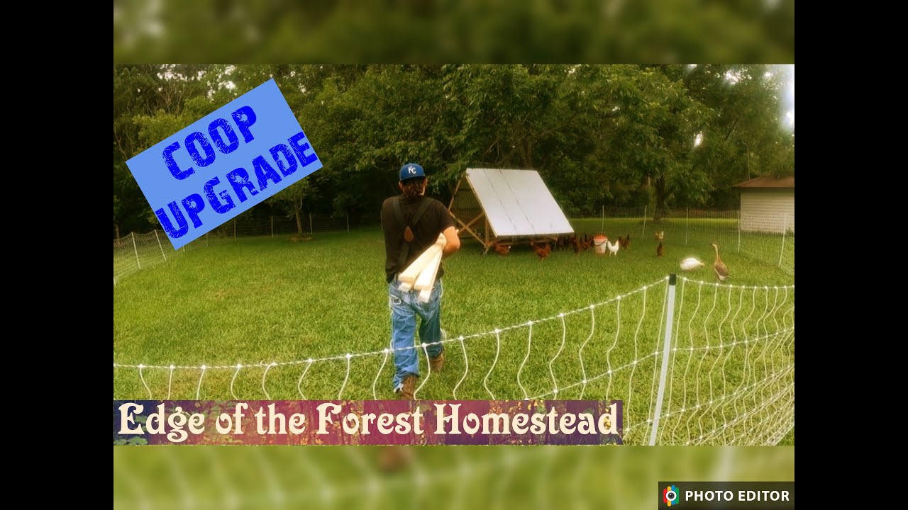 Adding more Roost Bars to our Mobile Chicken Coop build - Part 5 - YouTube
