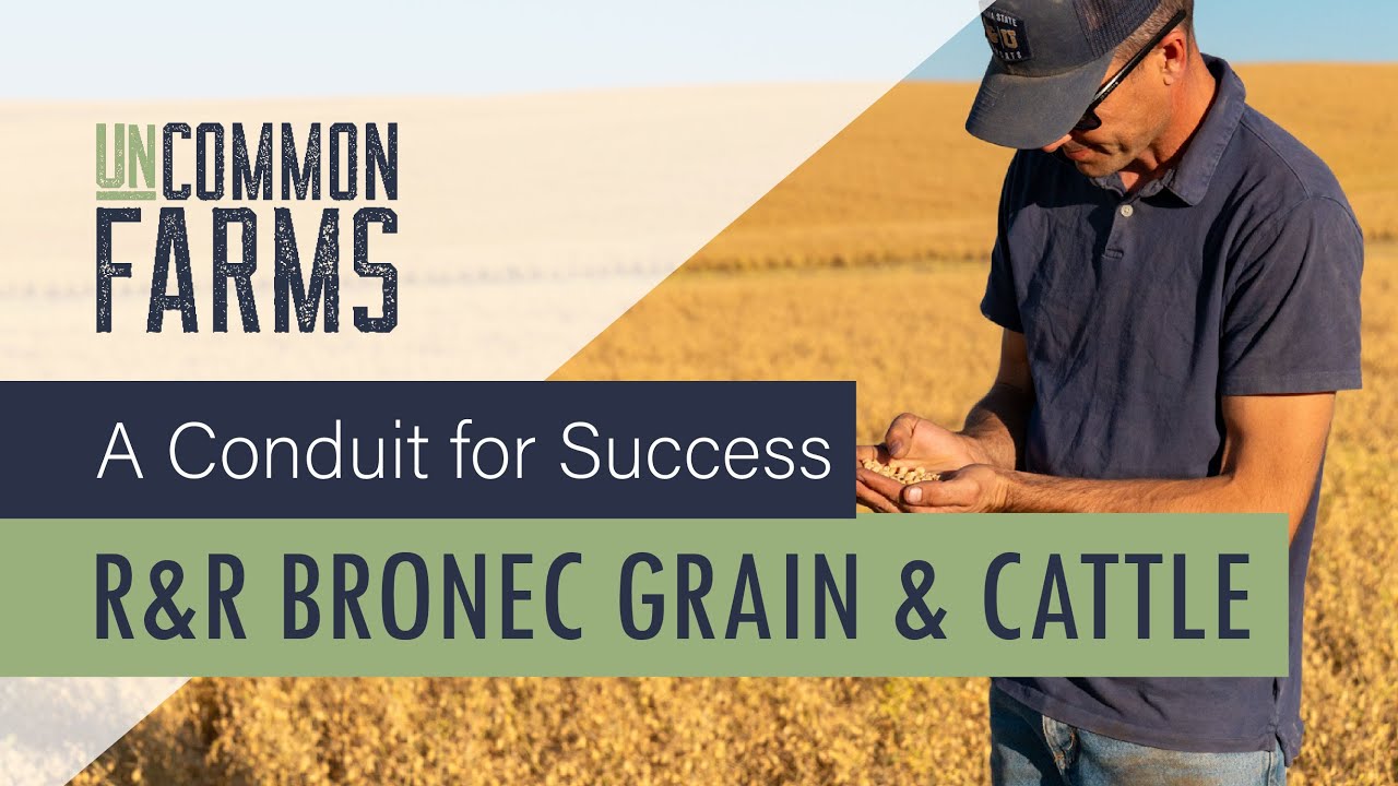 UnCommon Farms - R&R Bronec Grain & Cattle Testimonial | A Conduit for ...
