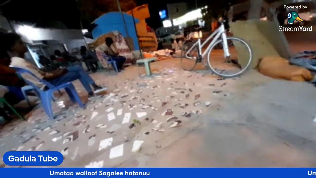 Gadula Tube - YouTube