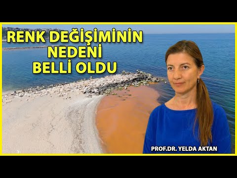 Karadeniz'deki Renk Değişiminin Sırrı Çözüldü