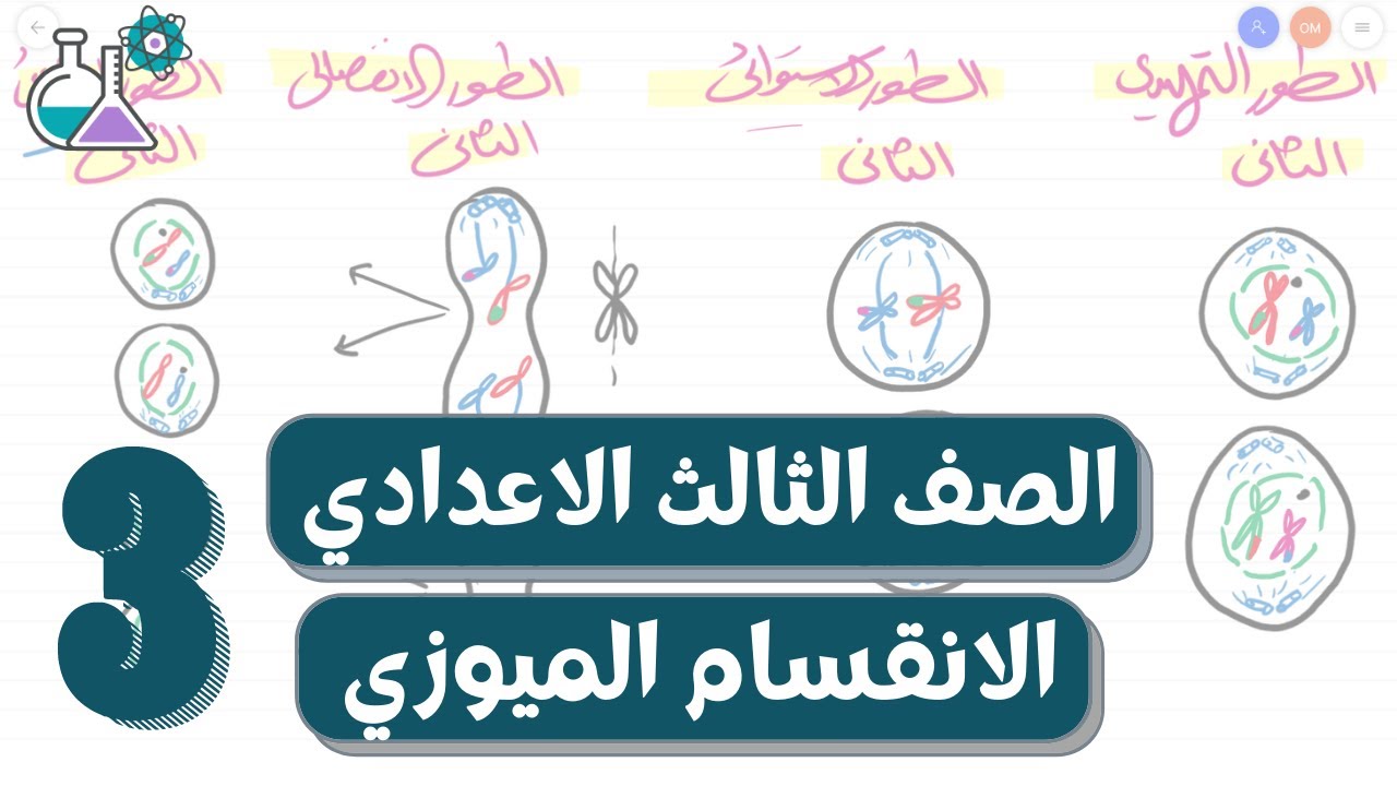 الانقسام الخلوي الانقسام الميوزي علوم الصف الثالث الاعدادي الترم الاول Youtube
