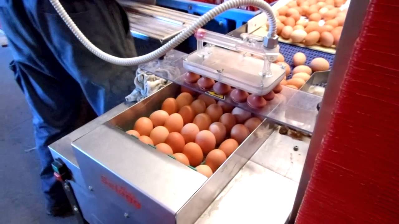 Semi Auto Farm Packer - YouTube