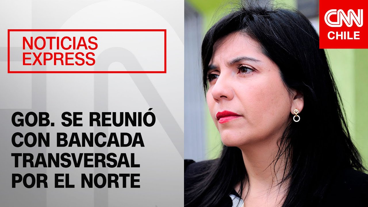 Danisa Astudillo discute necesidad de estado de excepción en la ...