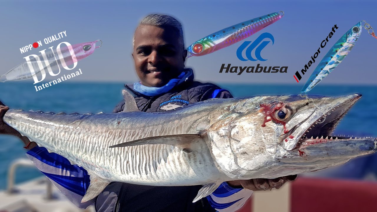 Catching many pelogics Using Japanese Jigs - Duo,Hayabusa,Major Craft ...