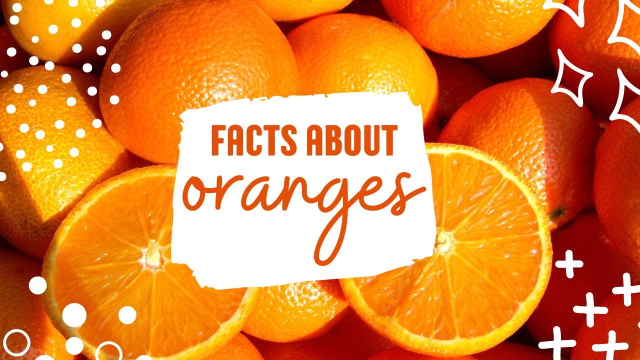 Facts About Oranges - YouTube