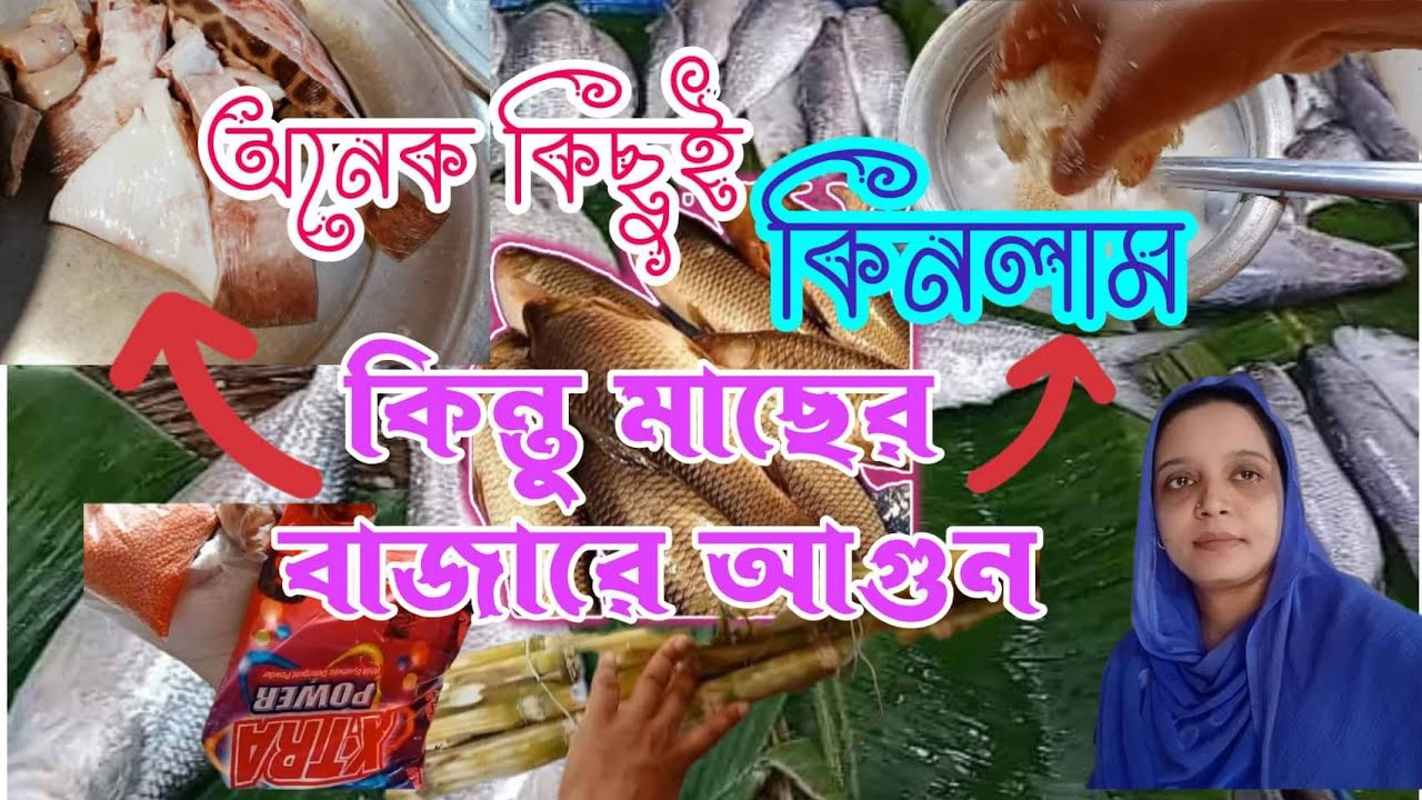 অনেক কিছুই কিনলাম কিন্ত মাছের বাজারে আগুন/ my village life chadine ...