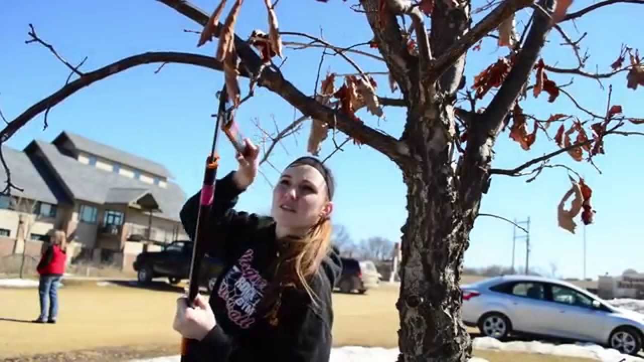 Inspiring a Generation for Good: PBnJ Builds a Foundation for Youth ...