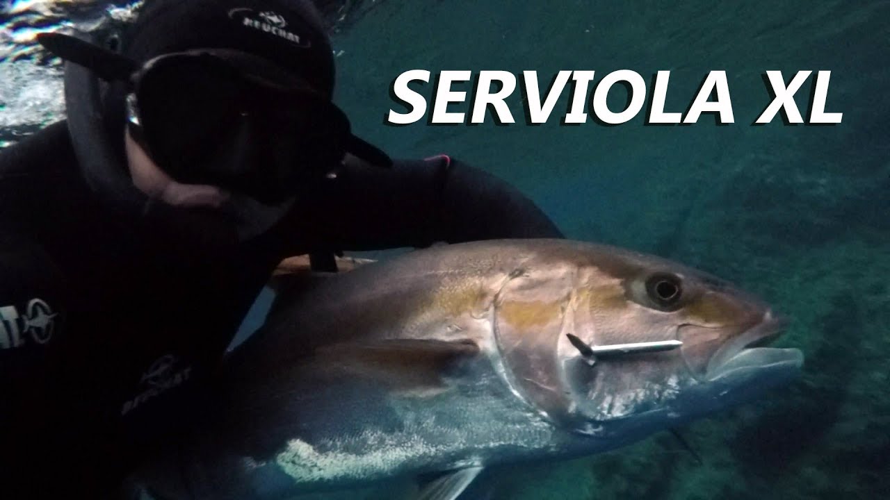 SERVIOLA XL - YouTube