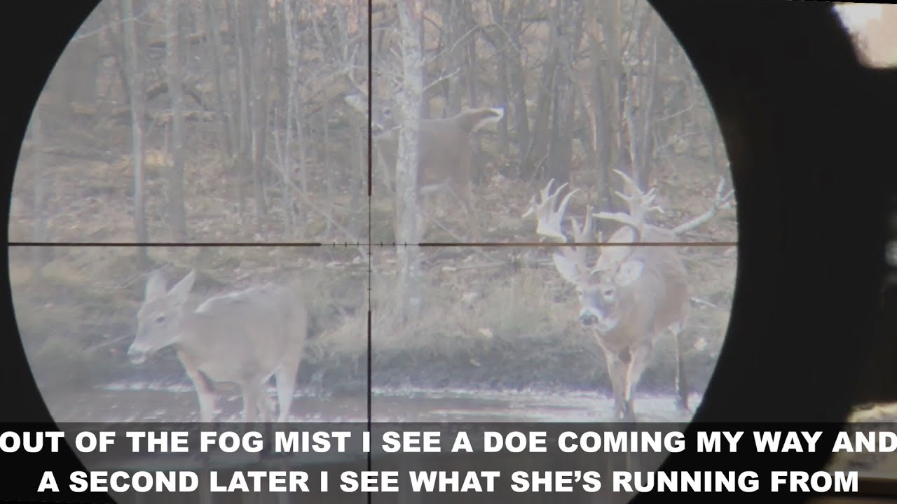 Whitetail Swamp Buck Hunt Tale - YouTube