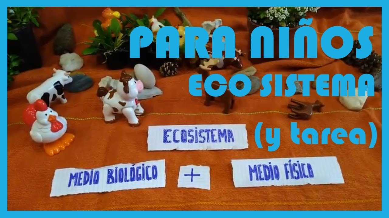 🐢 ECOSISTEMA para PRIMARIA (Medio Físico y Biológico) - YouTube