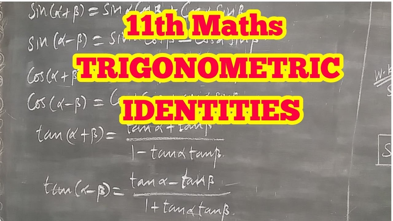 11th TRIGONOMETRIC IDENTITIES | 11th Maths | TN New Syllabus | - YouTube
