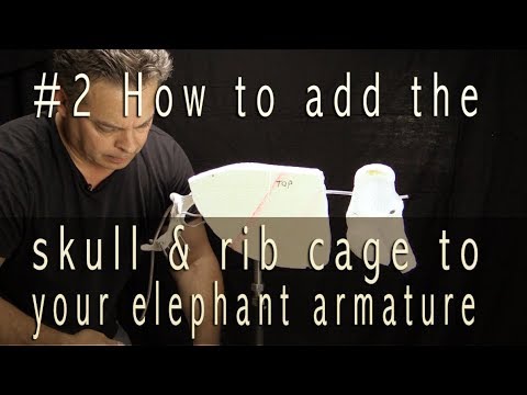 #2 Adding the skull and rib cage to the elephant armature - YouTube