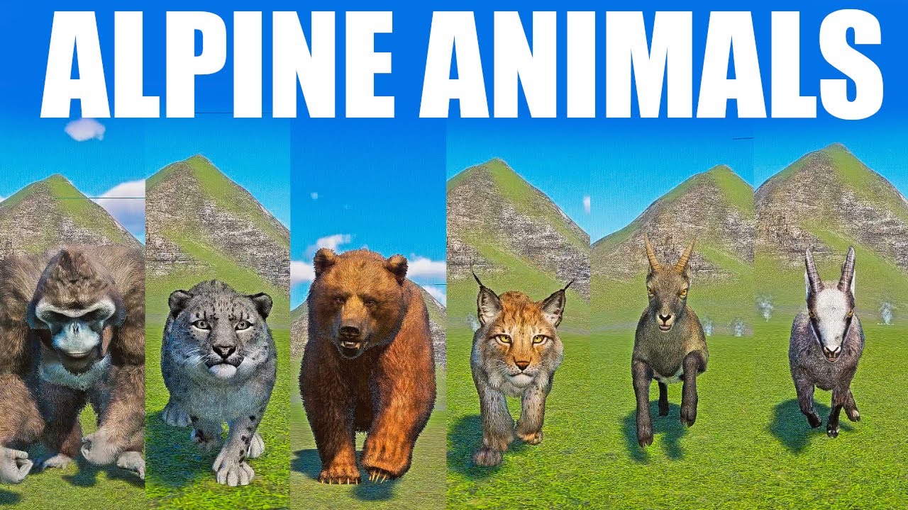 Alpine Animals Speed Races in Planet Zoo included Yeti, Alpine Chamois ...