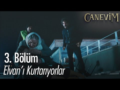 Elvan'ı kurtarıyorlar - Canevim 3. Bölüm