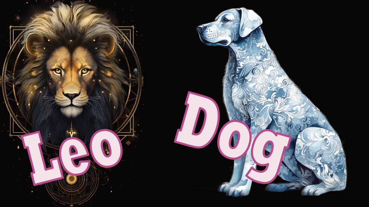 Leo Dog Discussion - YouTube Music