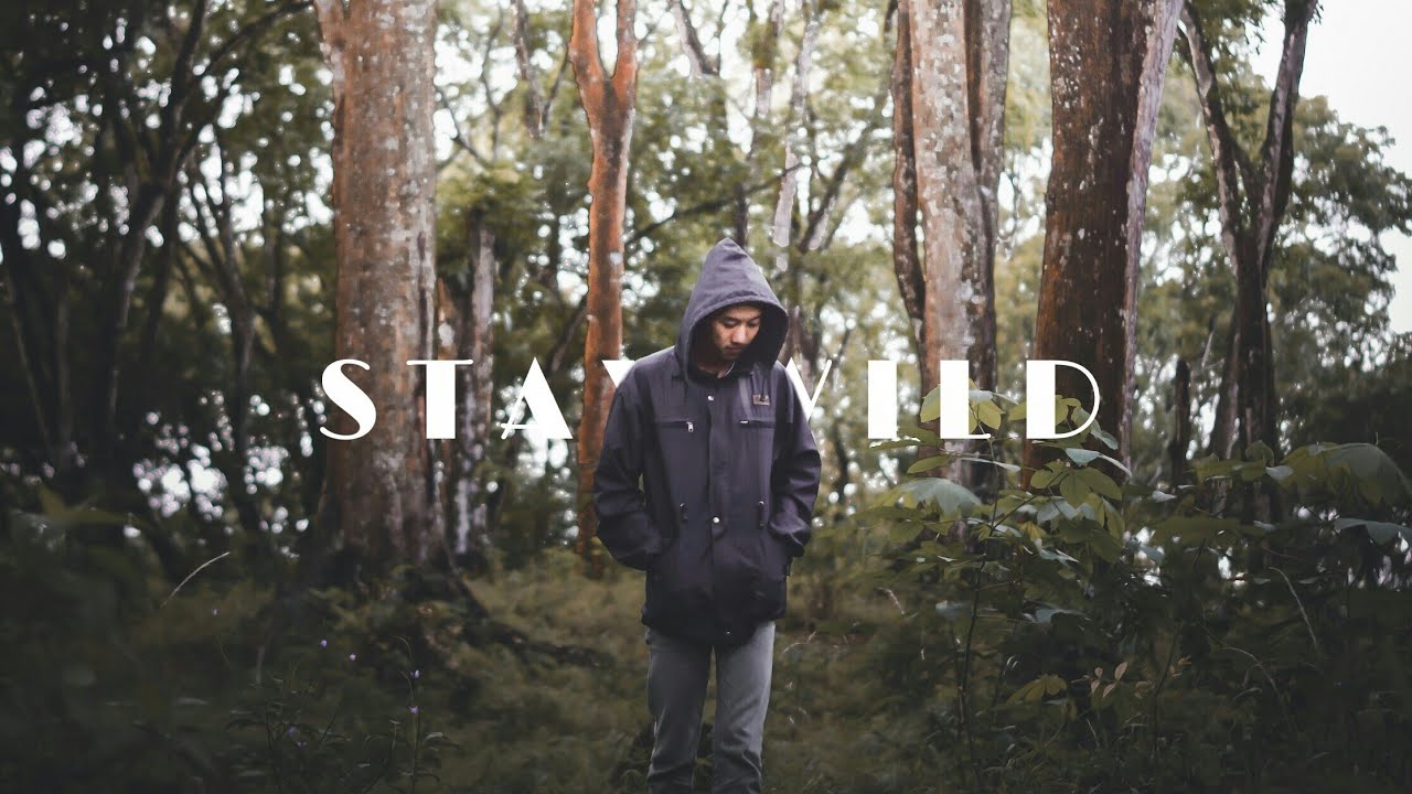 Stay Wild | Cinematic - YouTube
