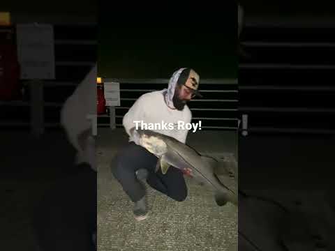 This is how to PROPERLY Release A Big Snook! - YouTube