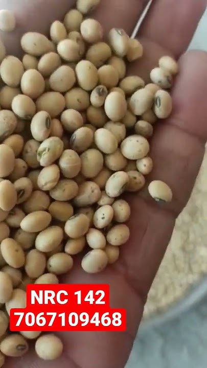soyabin NRC 142 ke liye sampark kre 7067109468 - YouTube