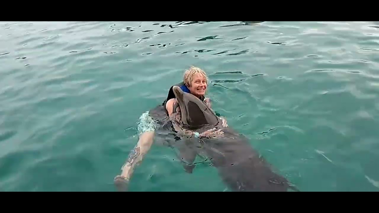 OMG!! Our Carnival Adventure 2024 - YouTube