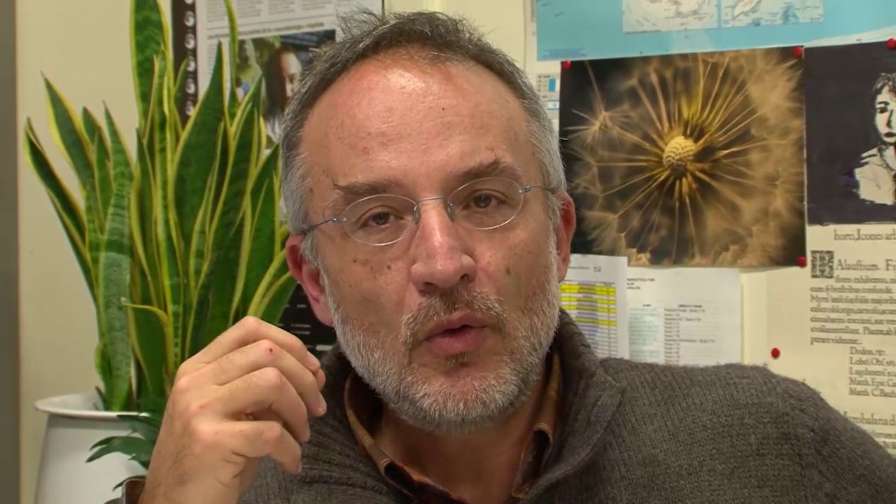 intervista Stefano Mancuso 2 - YouTube